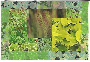 Art: Mini-Collage part 1 | Cheryl Cope